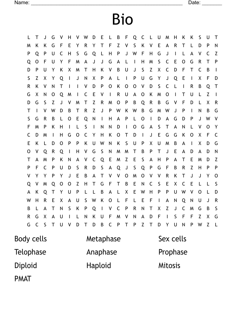 Bio Word Search - WordMint