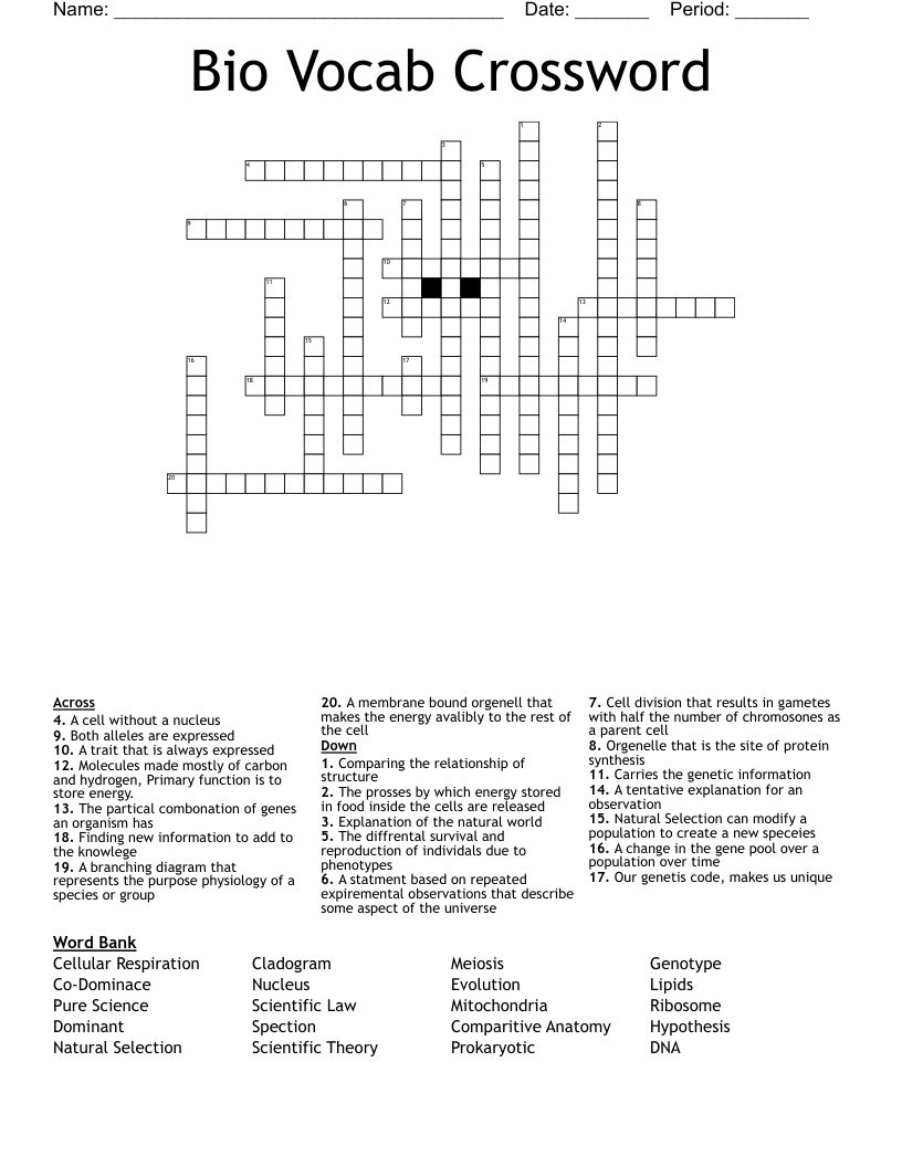Bio Vocab Crossword - WordMint