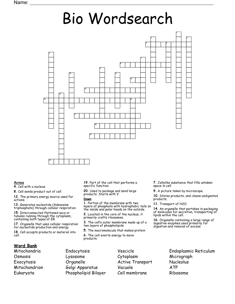 Bio Wordsearch Crossword - WordMint