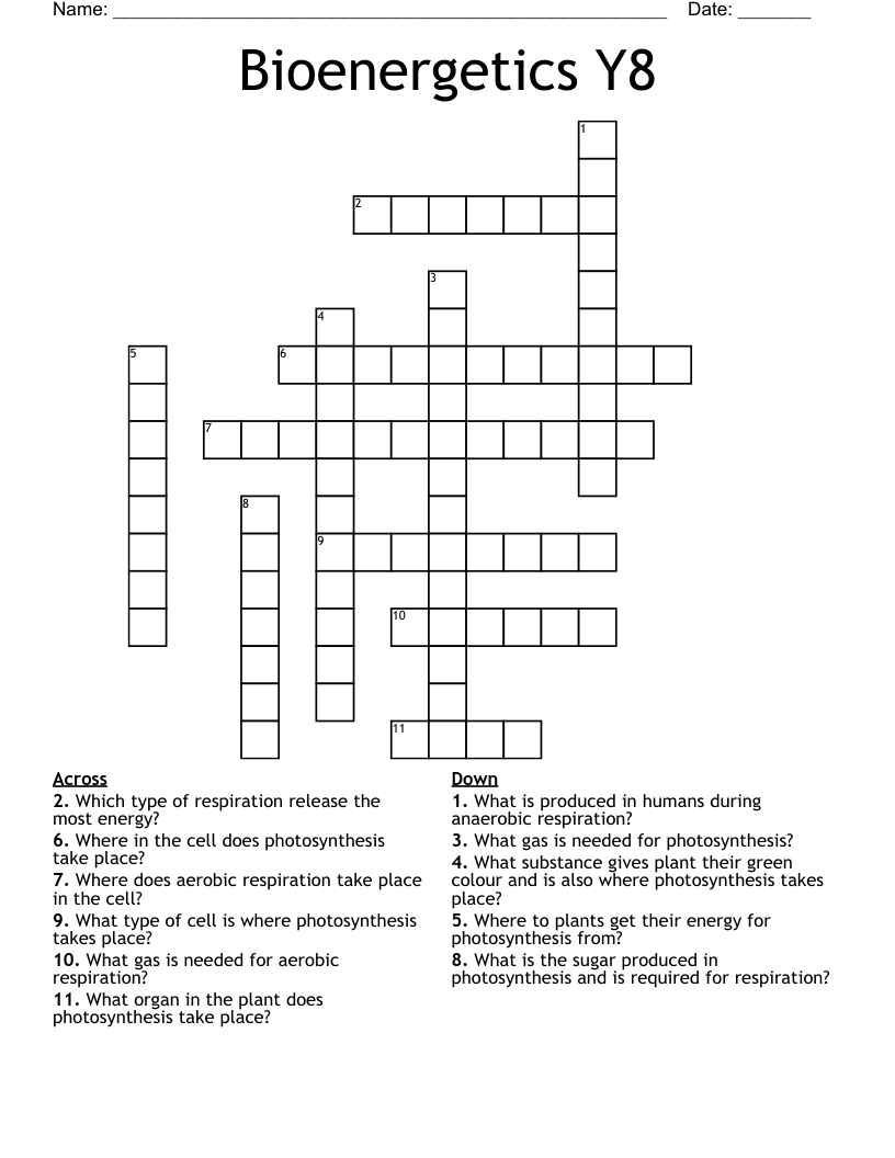 Bioenergetics Y8 Crossword - WordMint