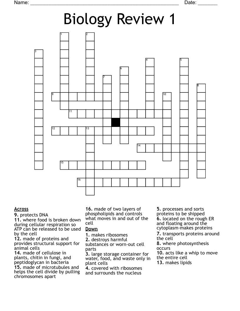 Biology Review 1 Crossword - WordMint