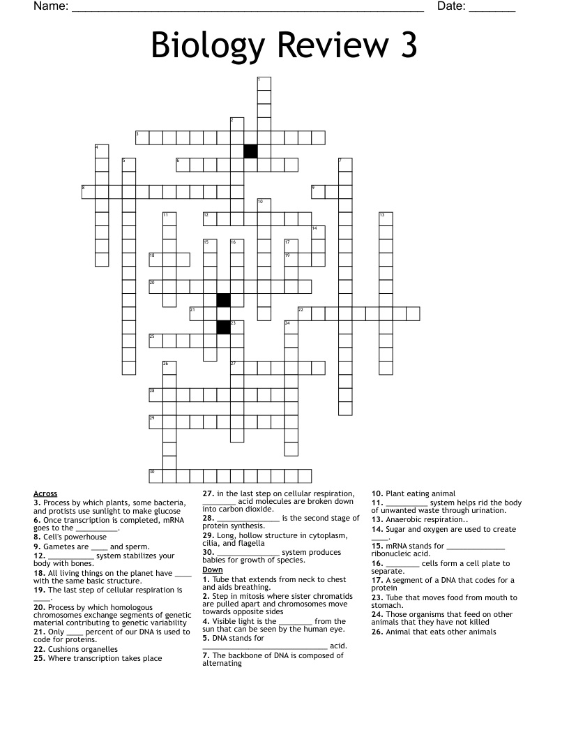 Biology Review 3 Crossword - WordMint