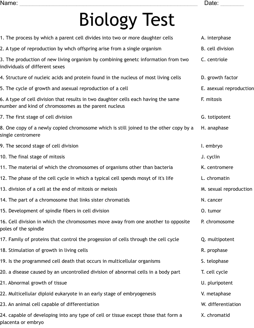 Biology Test Worksheet WordMint