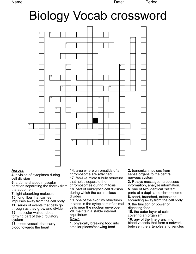 Biology Vocab crossword - WordMint