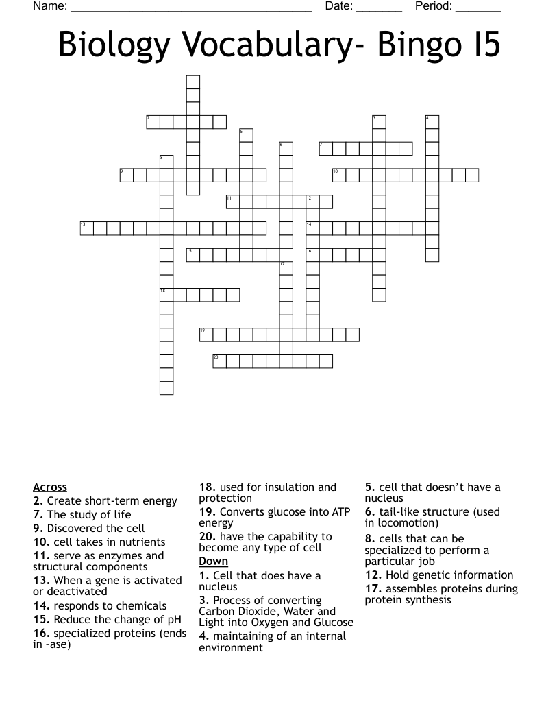 Biology Vocabulary- Bingo I5 Crossword - WordMint