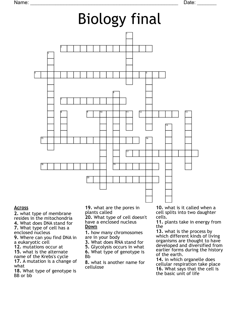 Biology Final Crossword WordMint biology-final-crossword-wordmint