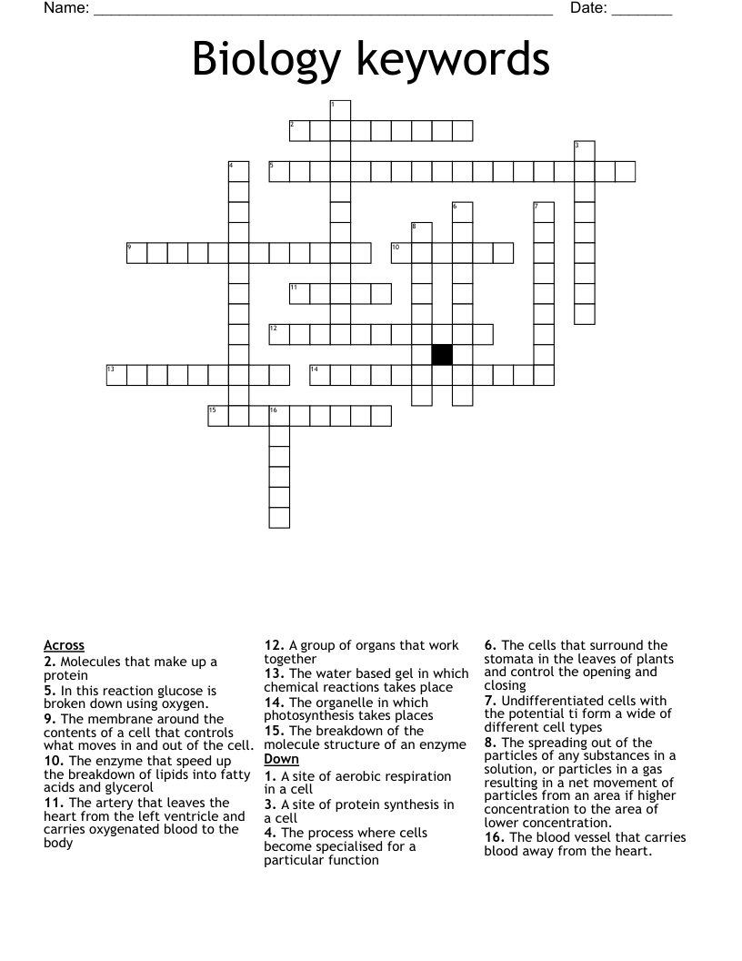 Biology keywords Crossword - WordMint