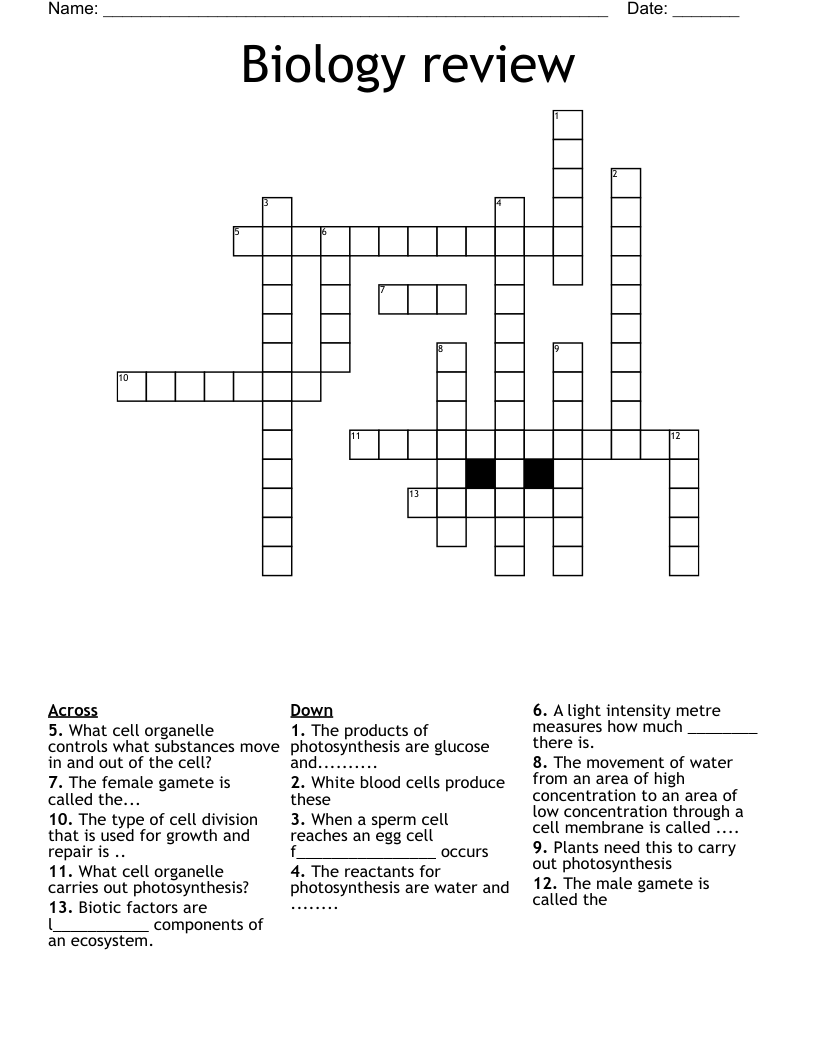 Biology review Crossword - WordMint