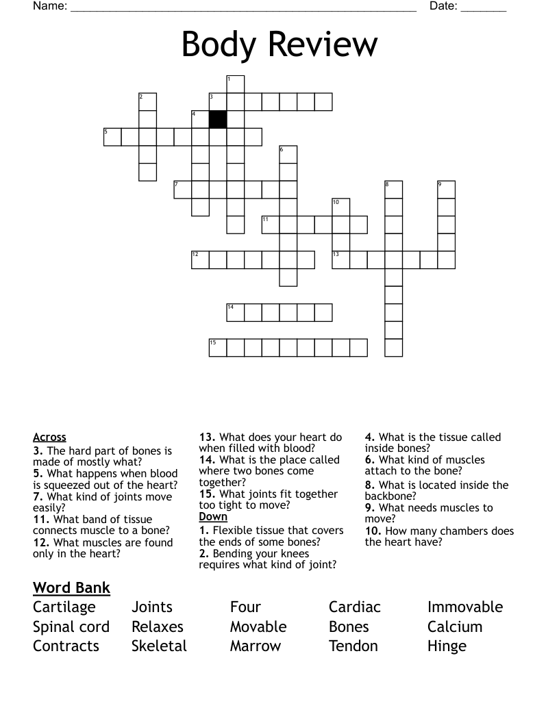 Body Review Crossword WordMint body-review-crossword-wordmint