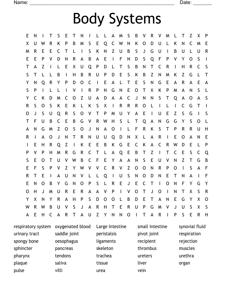 Body Systems Word Search - WordMint