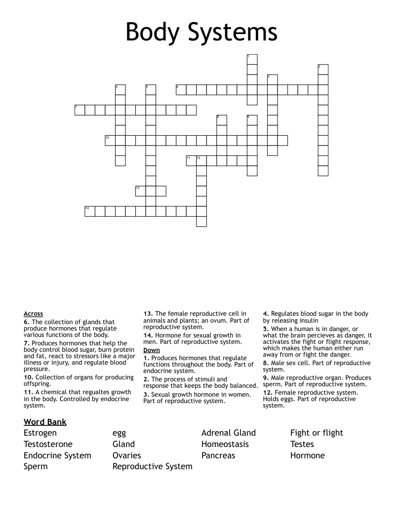 Body Systems Crossword Puzzle at Wilfred Mccarty blog