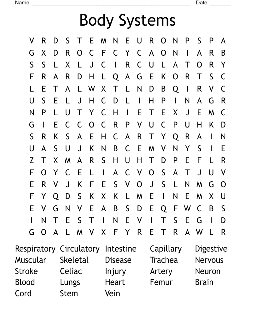 Body Systems Word Search WordMint