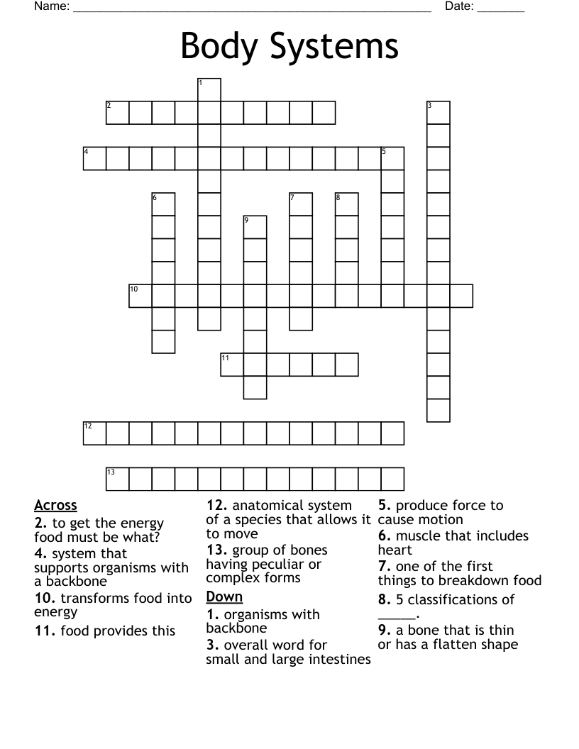 Body Systems Crossword - WordMint