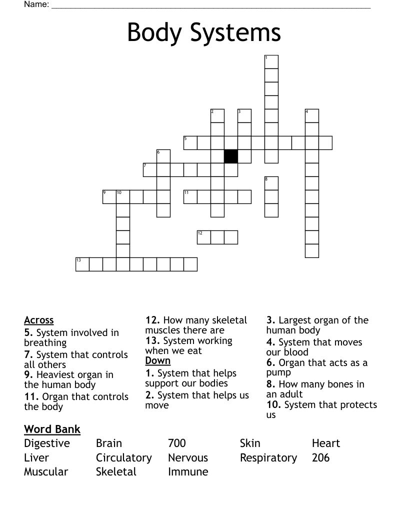 Body Systems Crossword - WordMint