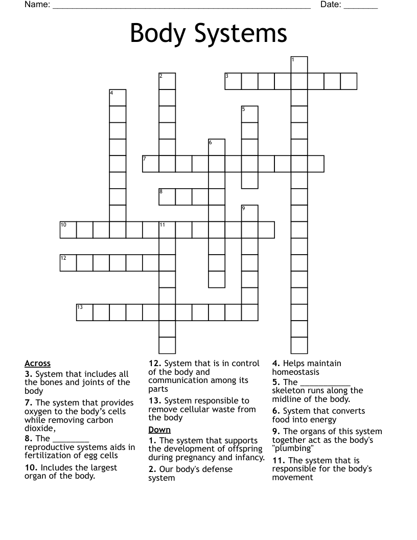 Body Systems Crossword - WordMint