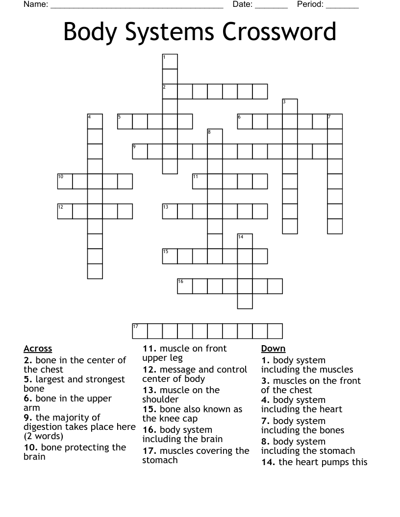 Body Systems Crossword - WordMint