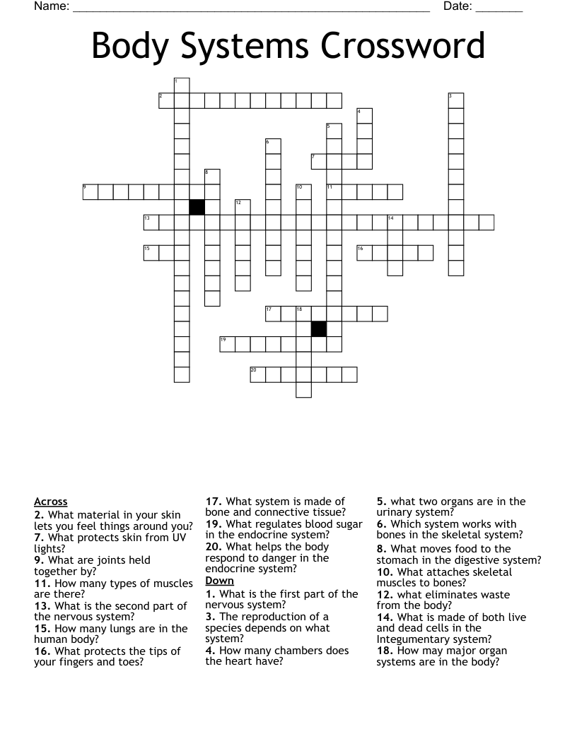 Body Systems Crossword - WordMint