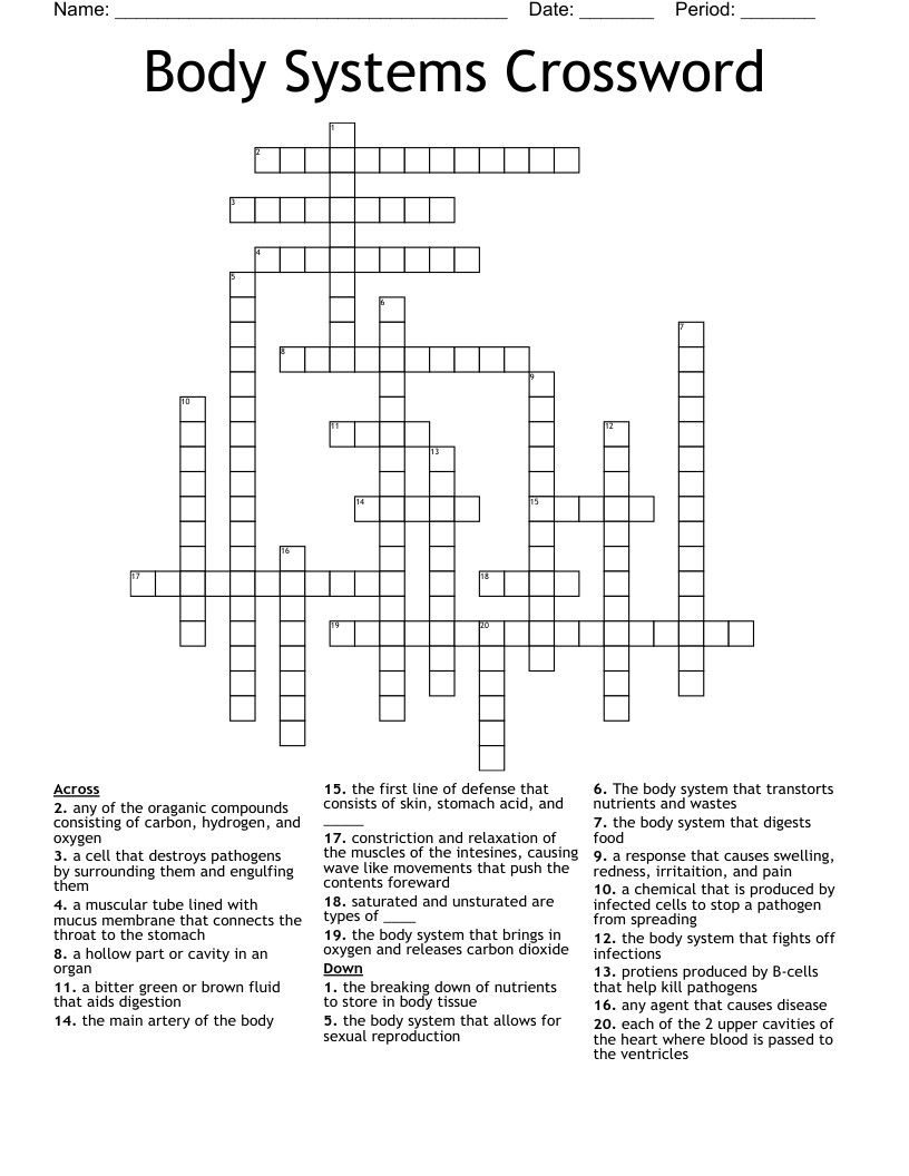 Body Systems Crossword - WordMint