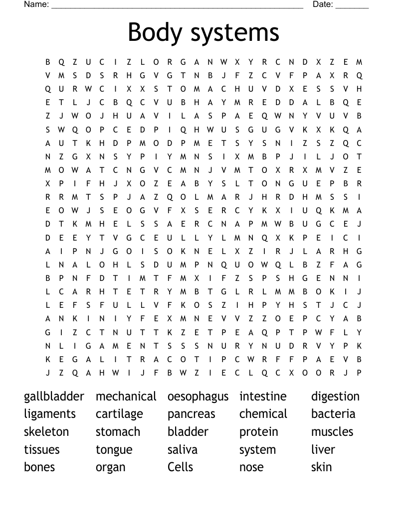 Body Systems Word Search WordMint