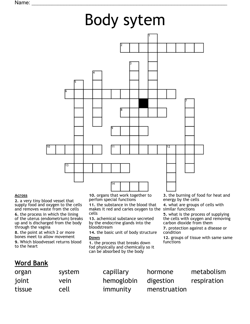 Body sytem Crossword - WordMint
