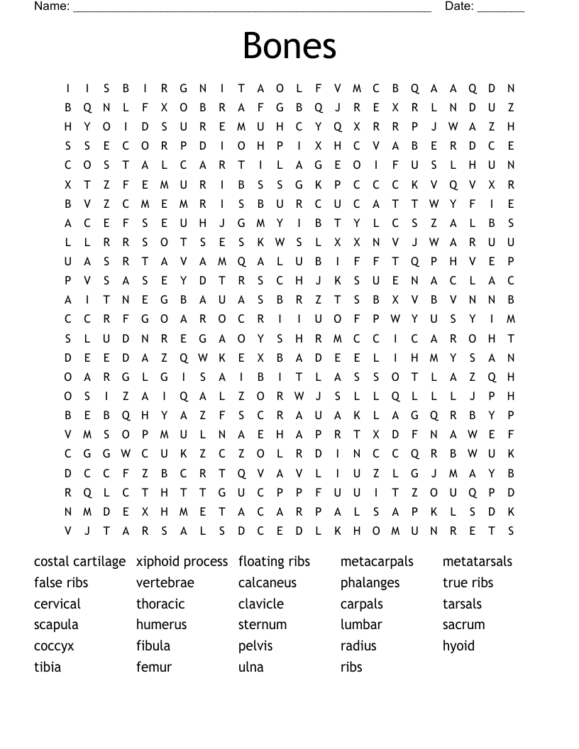Bones Word Search WordMint