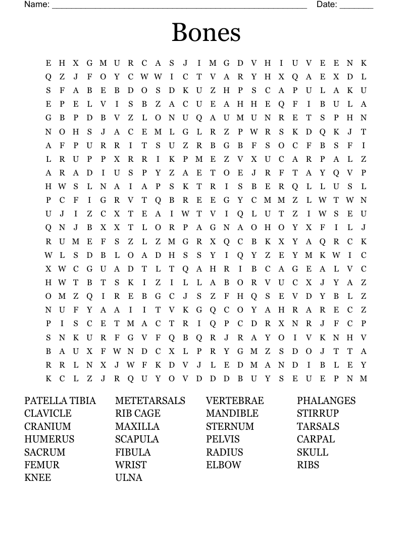 Bones Word Search WordMint