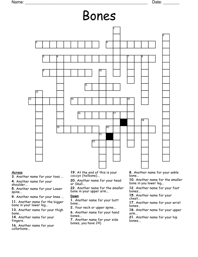 Hip Bone Structure Crossword Clue Halloween Crossword Printable