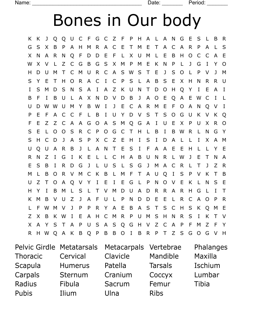 Bones Of The Skeleton Word Search WordMint