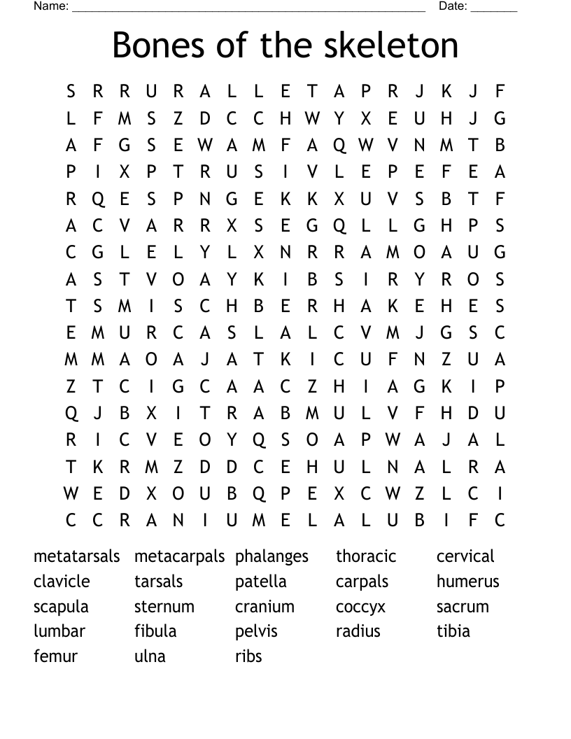 The Skeletal System Word Search WordMint
