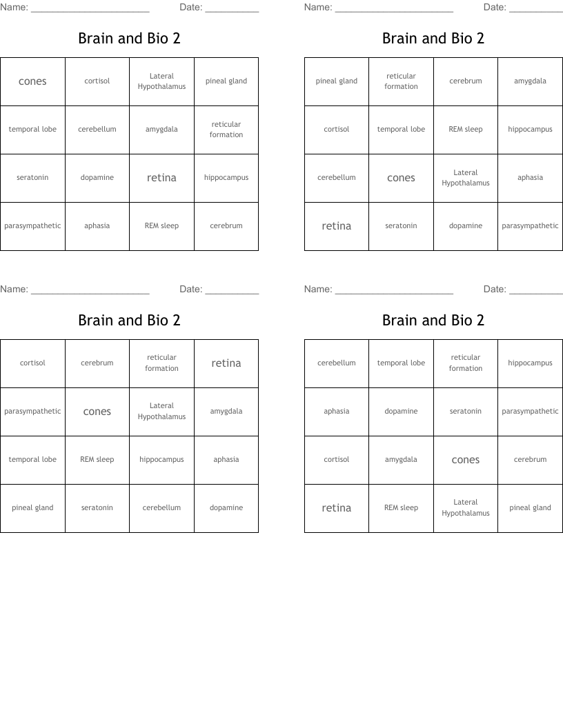 Brain and Bio 2 Bingo Cards - WordMint