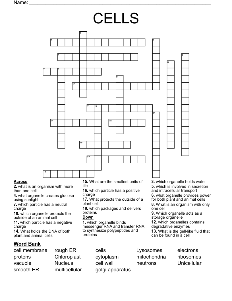 CELLS Crossword WordMint