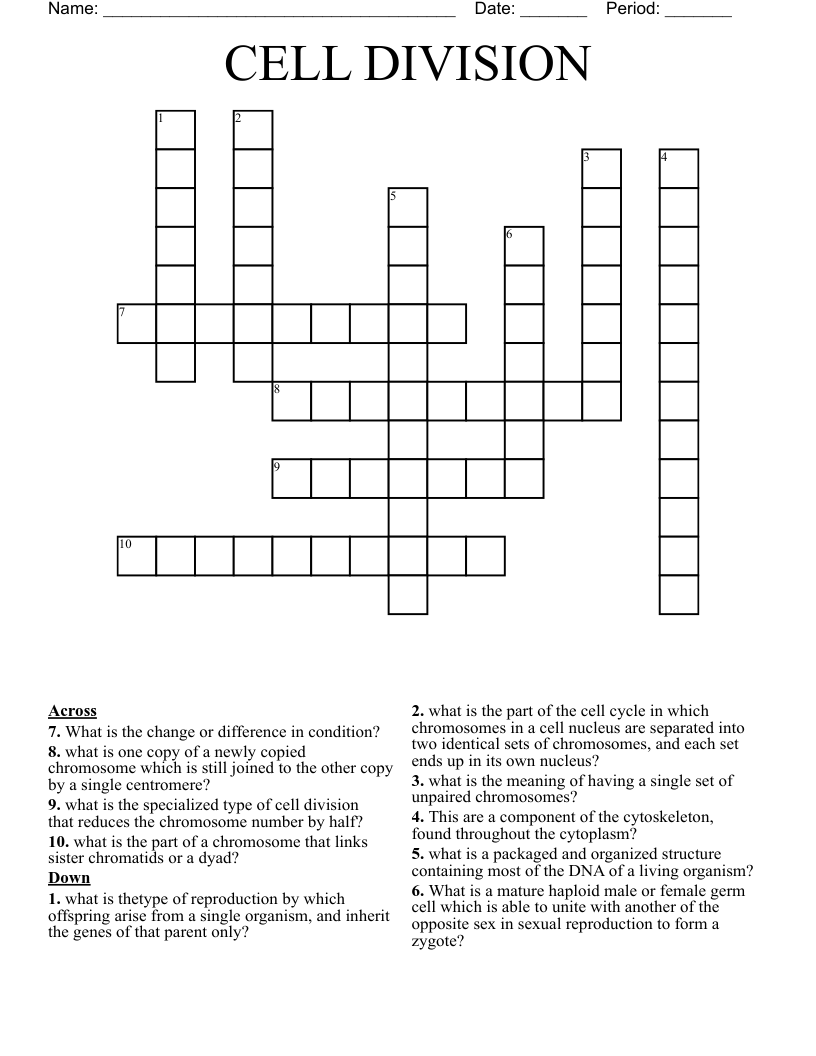 CELL DIVISION Crossword WordMint