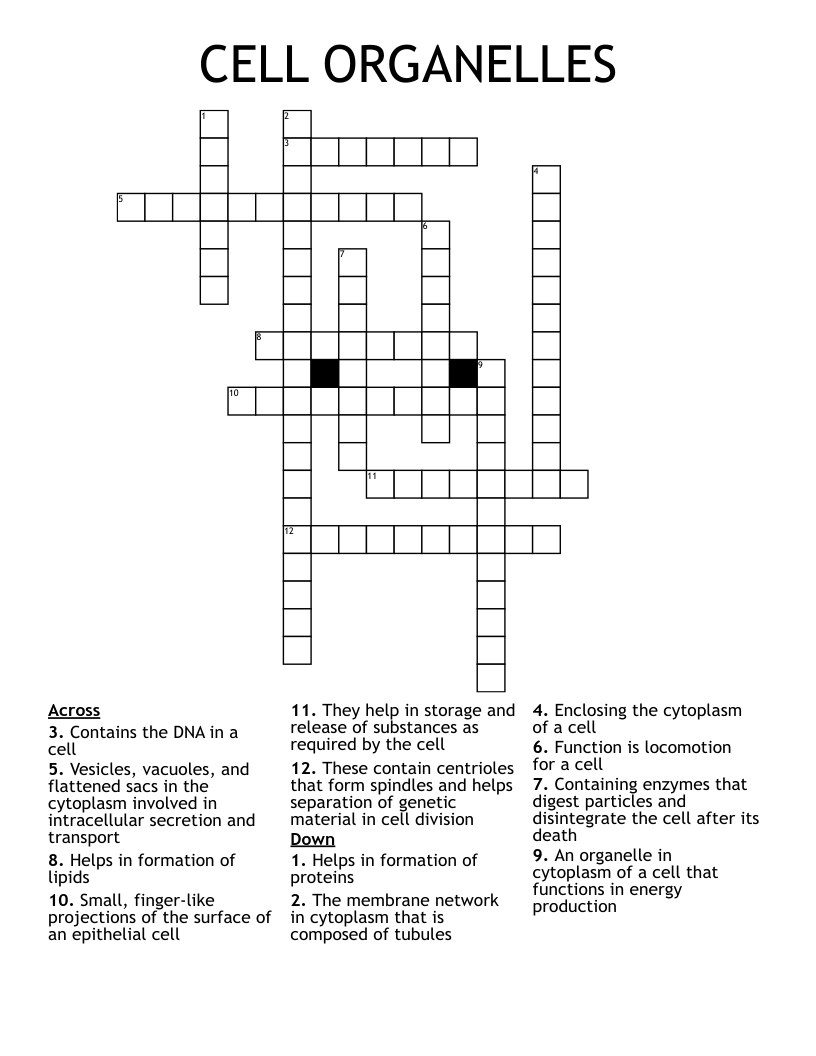 CELL ORGANELLES Crossword - WordMint