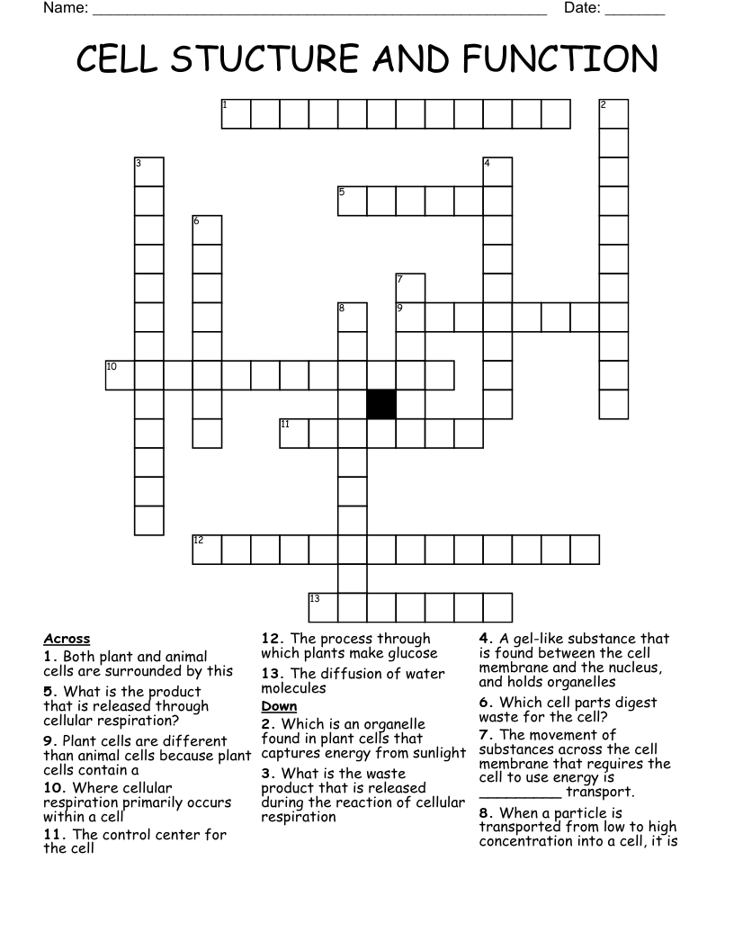 CELL STUCTURE AND FUNCTION Crossword WordMint