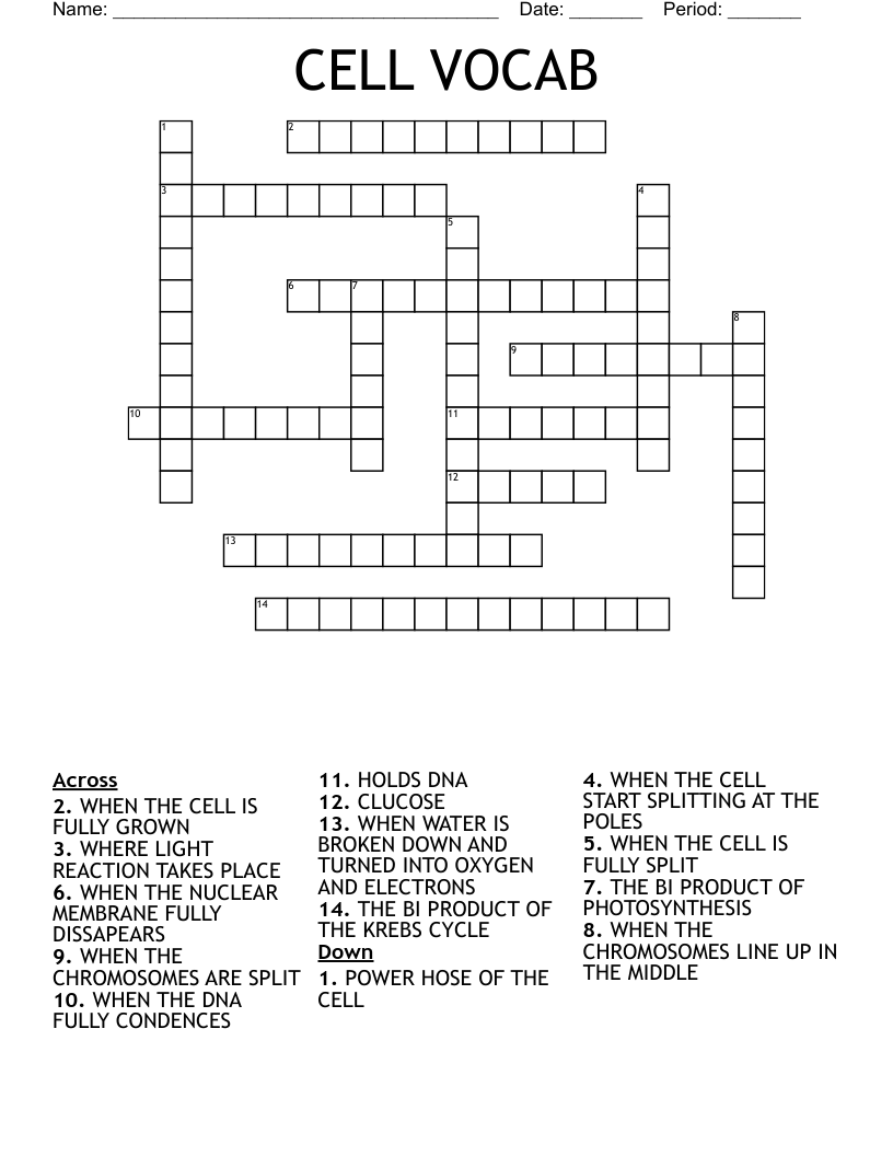 CELL VOCAB Crossword - WordMint