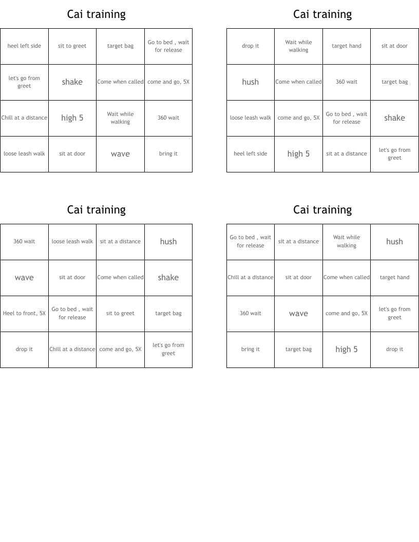 Cai training Bingo Cards - WordMint