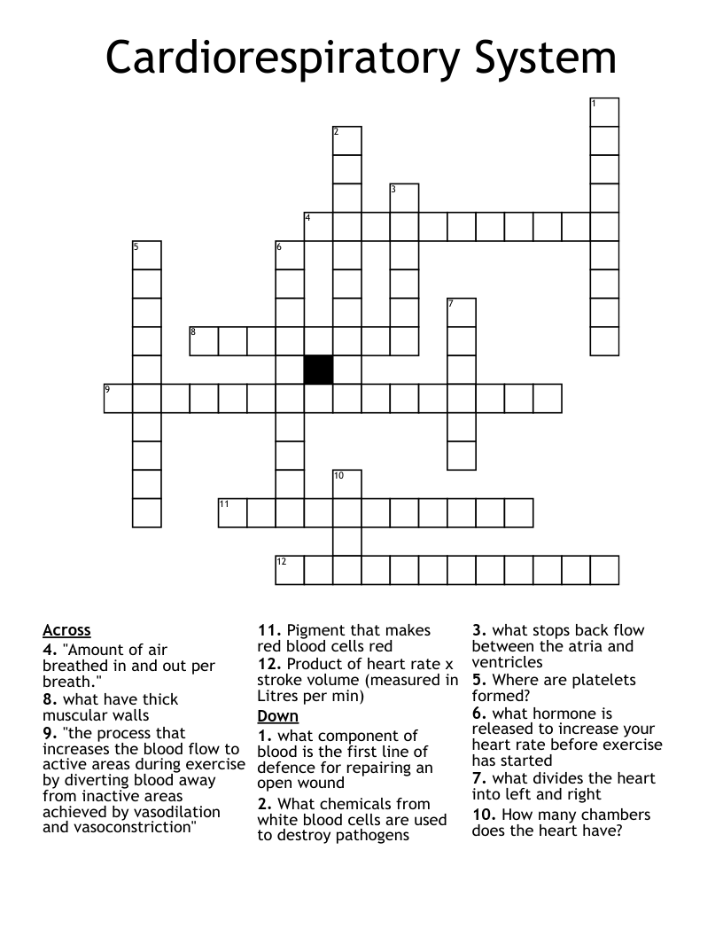 Cardiorespiratory System Crossword - WordMint