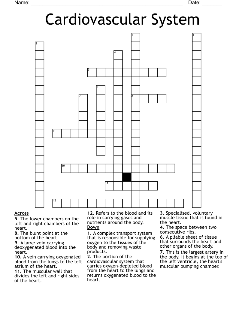 Cardiovascular System Crossword - WordMint