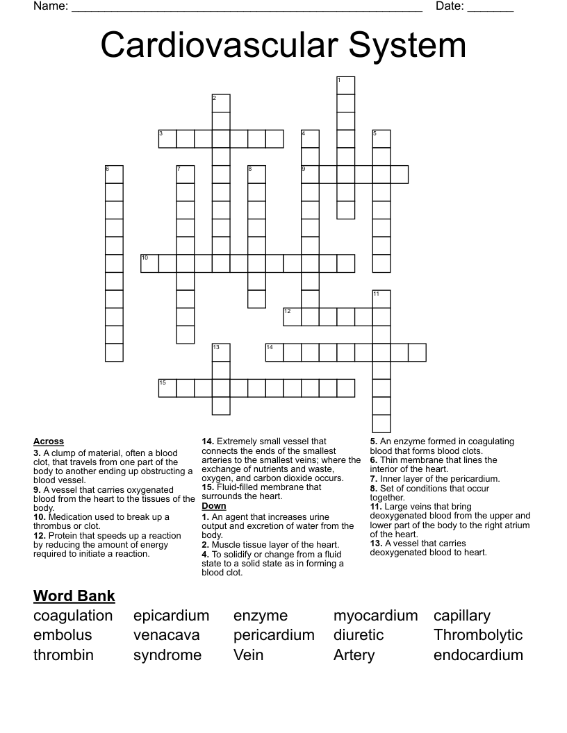 Cardiovascular System Crossword WordMint cardiovascular-system-crossword-wordmint