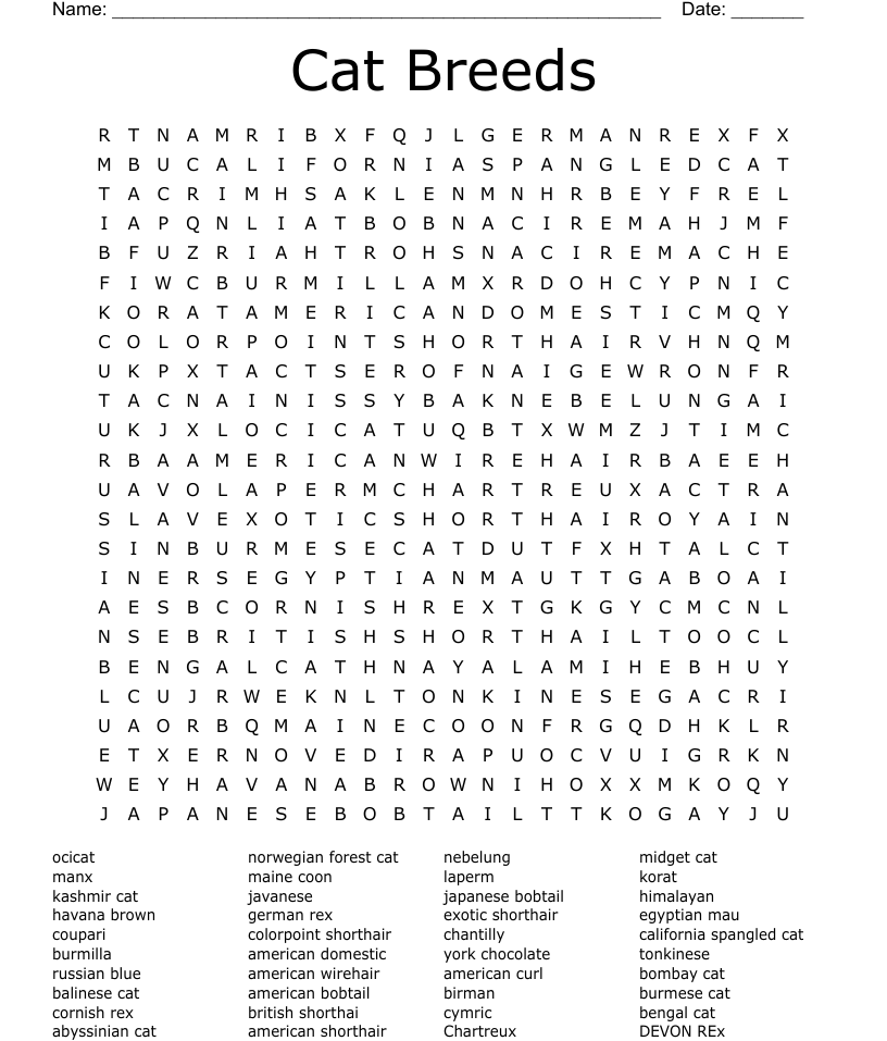 Cat Breeds Word Search - WordMint