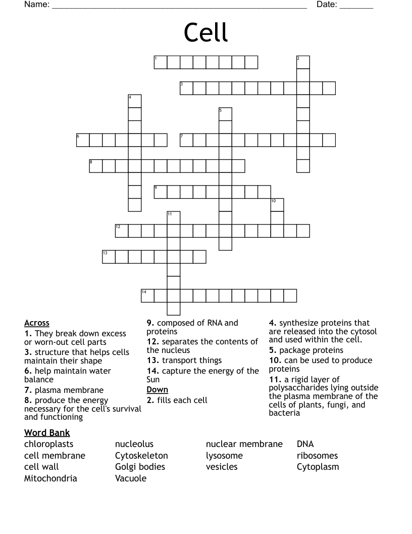 Cell Crossword - WordMint