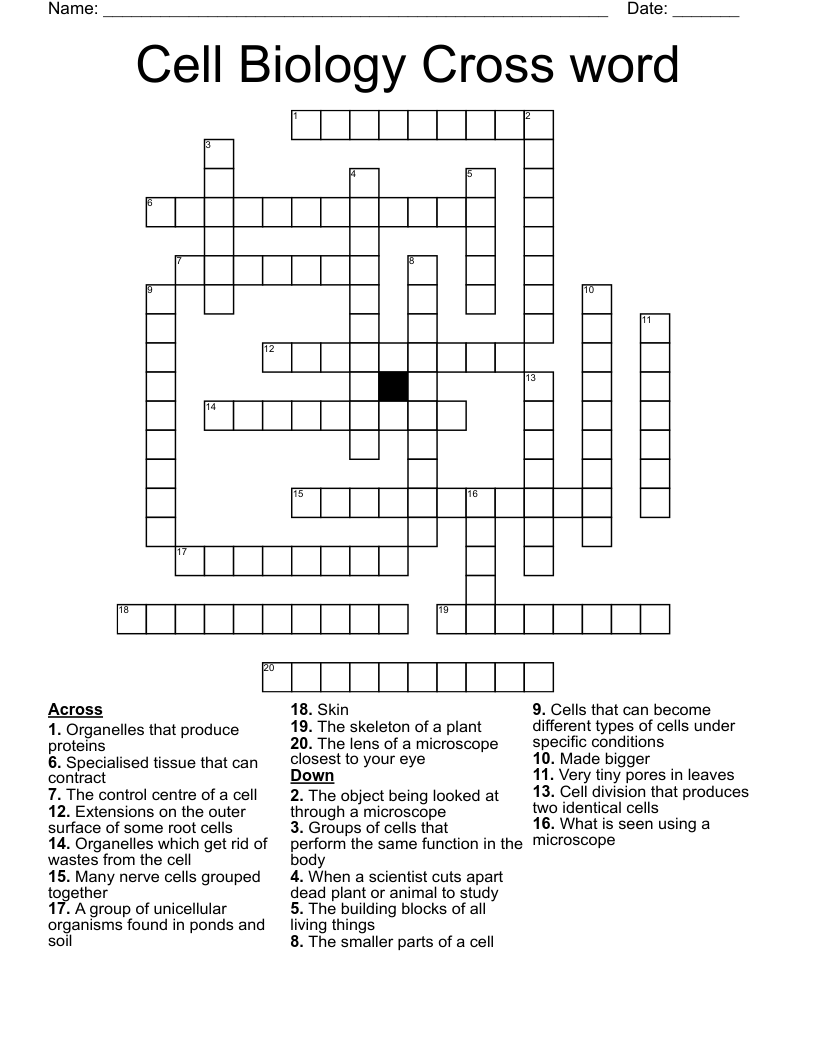 Cell Biology Cross word - WordMint