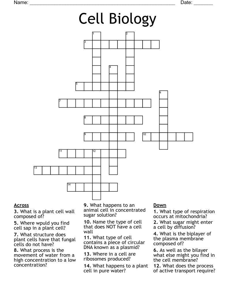 Cell Biology Crossword WordMint