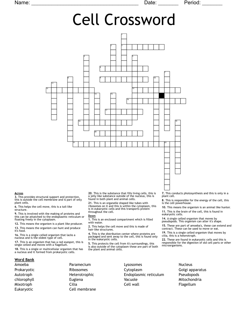 Cell Crossword - WordMint