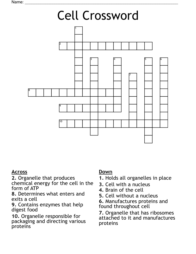 Cell Crossword - WordMint