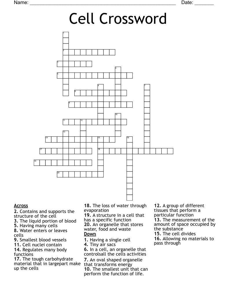 Cell Crossword - WordMint