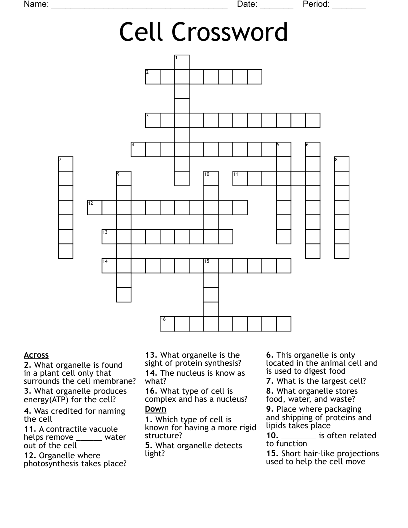 Cell Crossword - WordMint