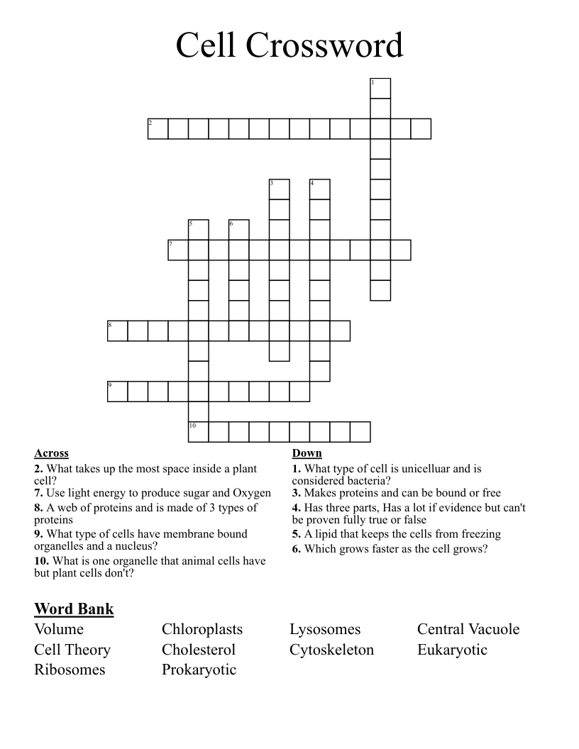cell-crossword-wordmint
