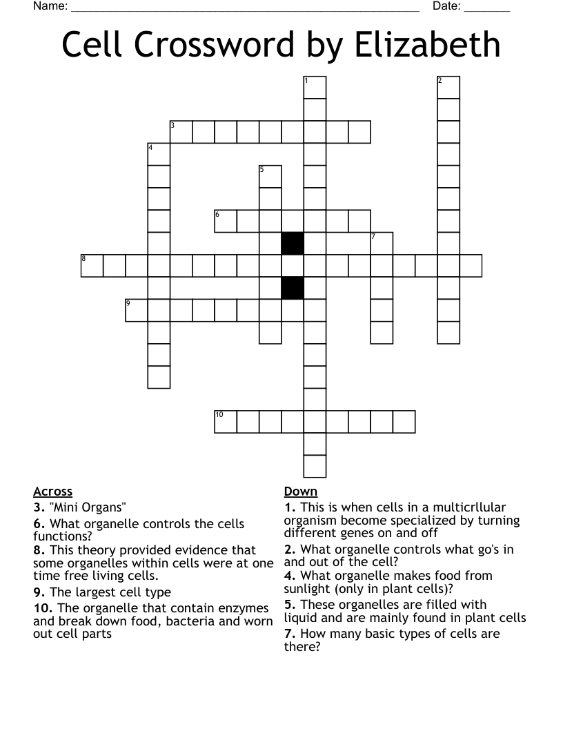 Cell Crossword by Elizabeth - WordMint