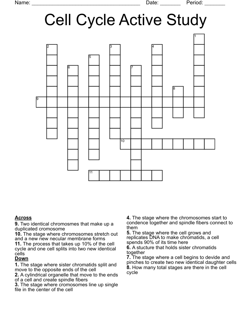 Cell Cycle Active Study Crossword - WordMint